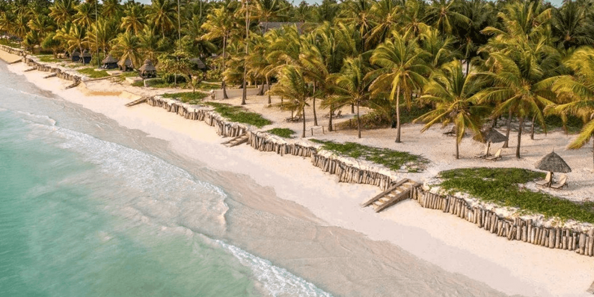 Escape to Zanzibar: The Top Resorts That Offer a Slice of Tropical Heaven