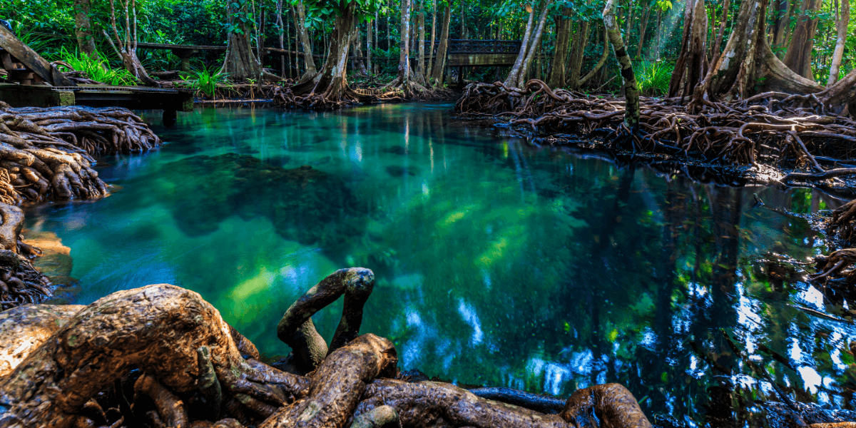 Experience Krabi Like Never Before: 10 Must-Visit Attractions to Spice Up Your Trip!